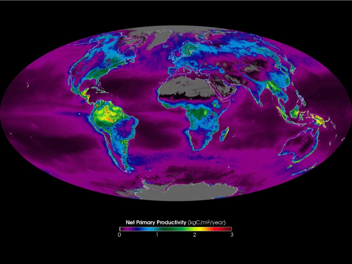 Carbon or harm? The price of the risk of global warming | C4CS